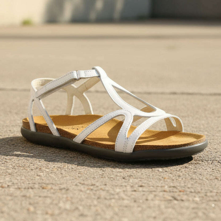Boutique Womens Shoes & Accessories Online | Plum Bottom