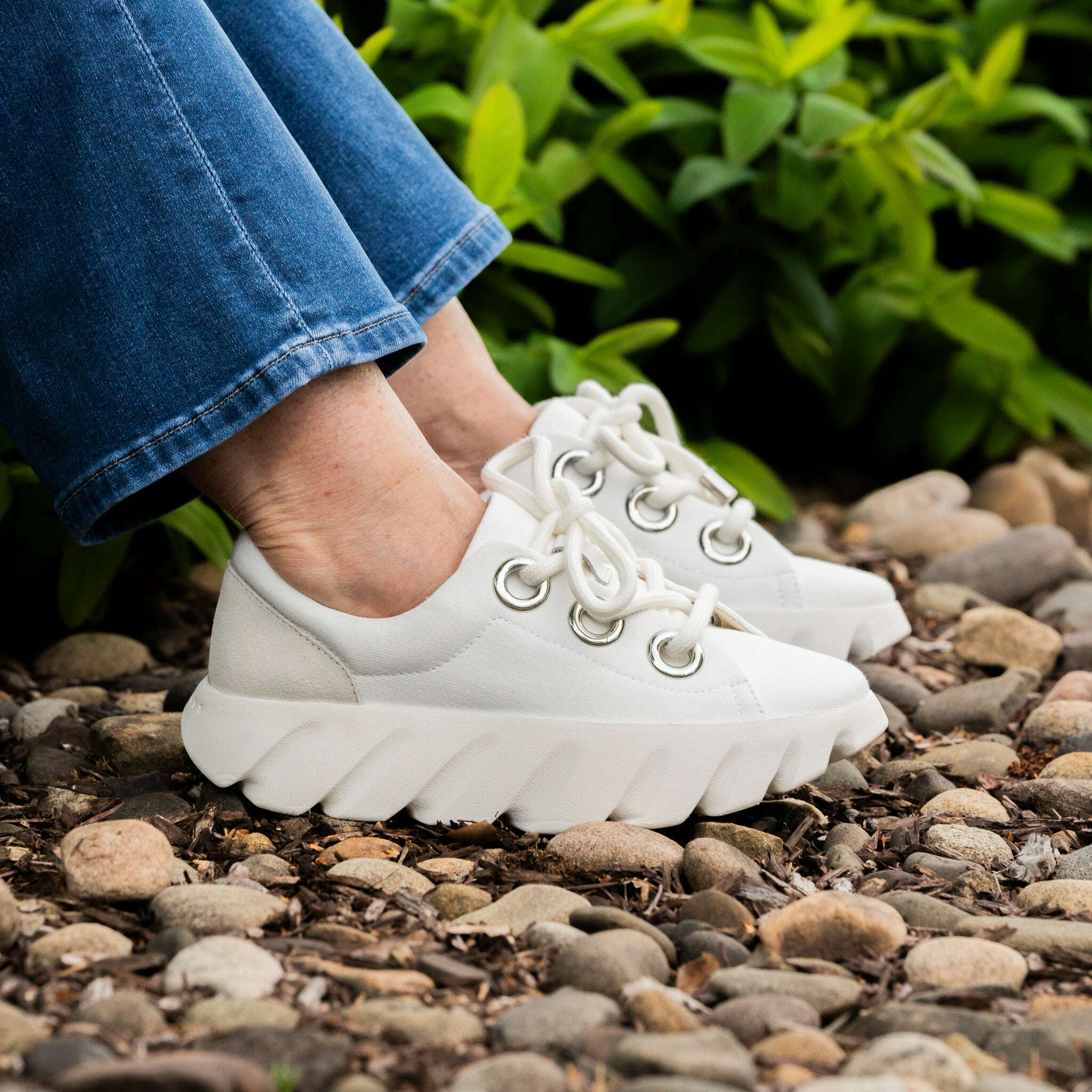 New Arrivals – Plum Bottom